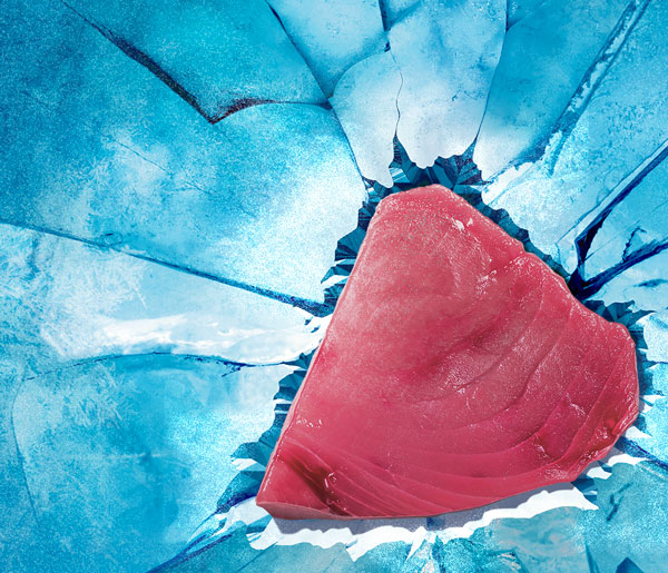 Crusta C se lance dans le Thon sashimi MSC - Crusta C